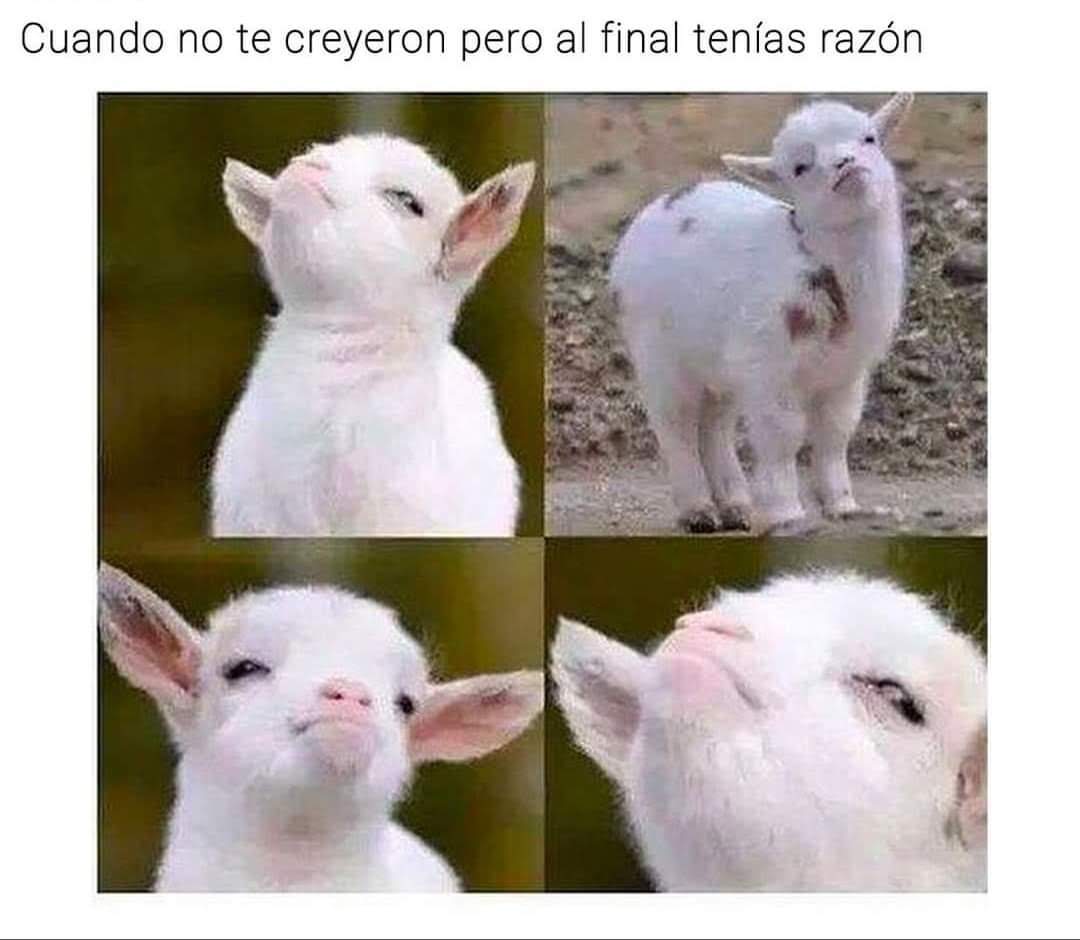 Cuando no te creyeron pero al final tenias razon - HolaXD